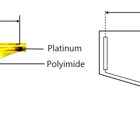 Nerve Cuff Electrode A Photographic Image And B Schematic Image