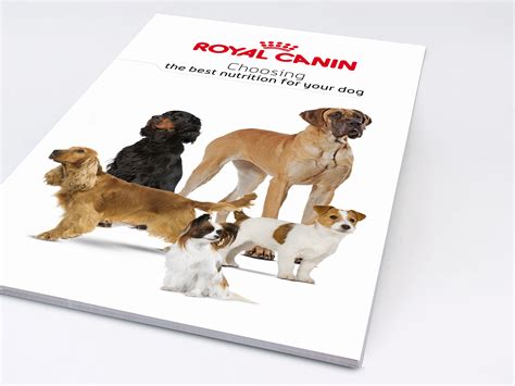 Royal Canin on Behance