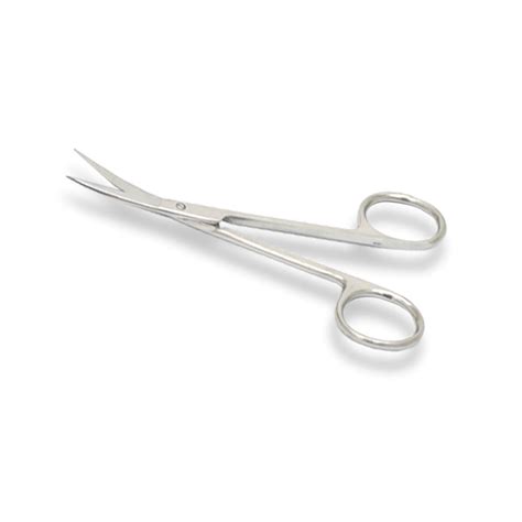 Dental Surgical Scissors Artofit