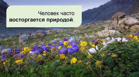 Правила техники безопасности в кабинете химии 7 класс презентация онлайн