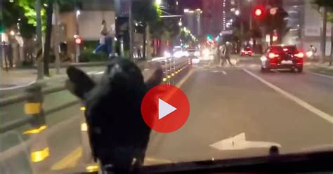 자동차 외부에 부착하는 흔들인형 와이퍼 움직여도 끄떡없음 에펨코리아