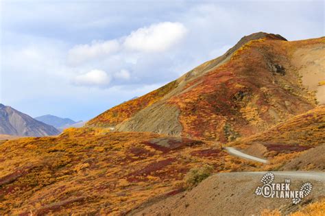 Polychrome Pass Denali National Park Alaska The Trek Planner