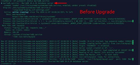 how to upgrade mariadb on cwp from 10 4 to 10 6 on almalinux 8
