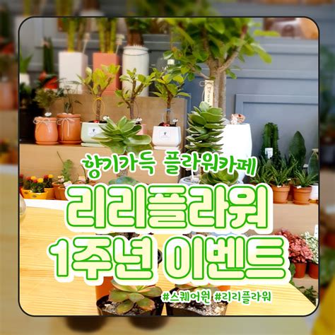 스퀘어원square1 🎈 스퀘어원 소식 🎈 리리플라워 1주년 이벤트 🌸리리플라워🌸가 벌써