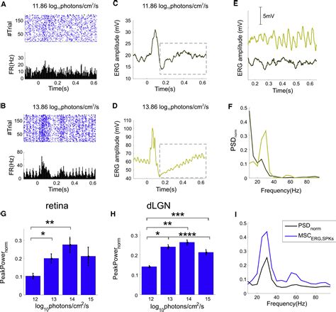 Modulation Of Fast Narrowband Oscillations In The Mouse Retina And Dlgn According To Background