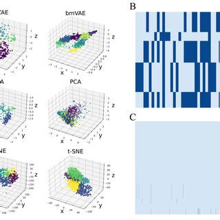 (PDF) bmVAE: a variational autoencoder method for clustering single ...