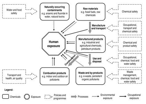 Human Exposure To Chemicals Throughout Their Life Cycle And Selected