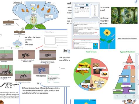 Y3 Science Teaching Resources