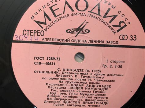 სულხან ცინცაძე განდეგილი Vinyl Ge მუსიკალური ვინილები ფირფიტები