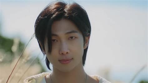 Lirik Lagu Wild Flower Dari Rm Bts Dengan Arti Bahasa Indonesia Penuh Makna Puitis Tentang