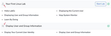 Labex Quick Start Labex Support