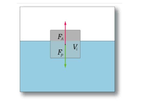 Ֆիզիկա։7֊չդ դասարան