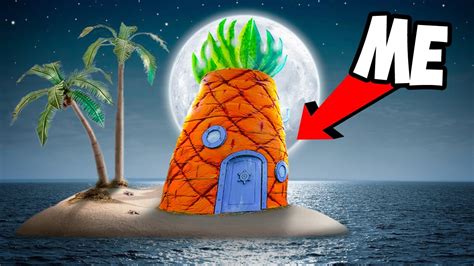 Pineapple House Irl At Derrick Evans Blog