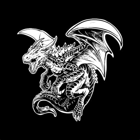 Premium Vector The Dragon Fly Line Art Vector