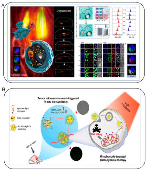 Biosensors Special Issue Trends And Perspective Of Advanced Nanotechnology For Bio Sensing