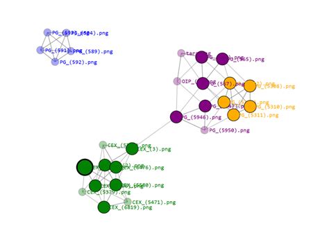 A Force Directed Graph With Your Vectors Using D3blocks But Stay In