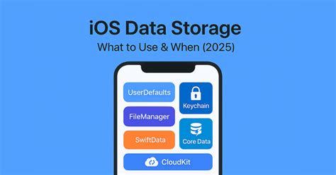 best ios data storage options 2025 userdefaults swift data realm