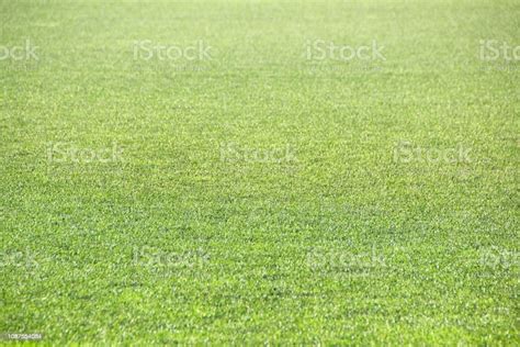 축구 스포츠에 대 한 텍스처 녹색 잔디입니다 밝은 태양 축구 필드 스포츠 텍스처입니다 아름 다운 햇빛 Bokeh와 햇빛 축구 필드입니다 상위 뷰 클로즈업입니다 0명에 대한