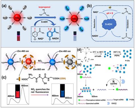 Advances In Carbon Dot Based Ratiometric Fluorescent Probes For Environmental Contaminant