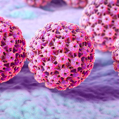 Understanding Hpv Human Papilloma Virus Mouth Care Foundation