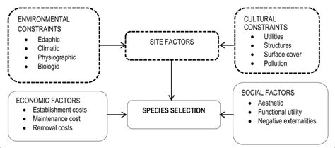 Species Selection Model Source Miller 1997 Download Scientific Diagram