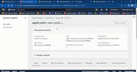 Luis Alberto Lozano C On Linkedin Amazon Cognito 1 Creating Cognito