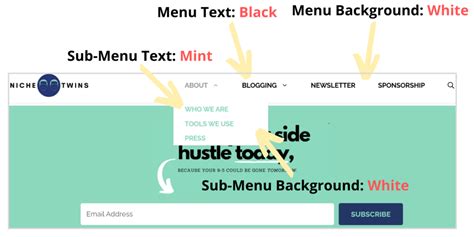 How To Change Menu Color In WordPress Ways Niche Twins