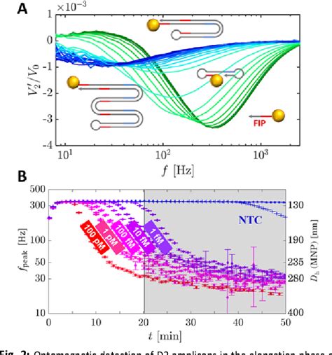figure 1 from sequence specific validation of lamp amplicons in real