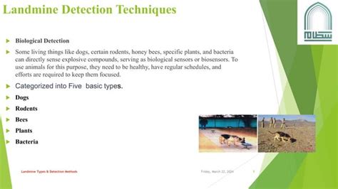 Landmines Types And Detection Majed Reduced Pptx