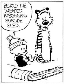 Calvin And Hobbes Sledding