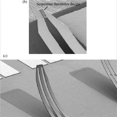 Micrograph And Sem Micrographs Of Thermal Microprobe Prototypes The Download Scientific