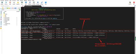 建议：小规模分布式就用dtc，大规模分布式就用netcore cap netcorecap官网 csdn博客
