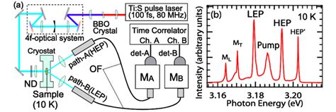 A Schematic Of The Experimental Setup For The Resonant Download