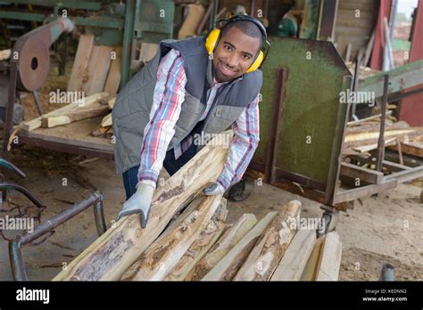 Sorting The Logs Stock Photo Alamy