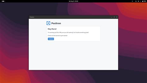 Introduction Positron