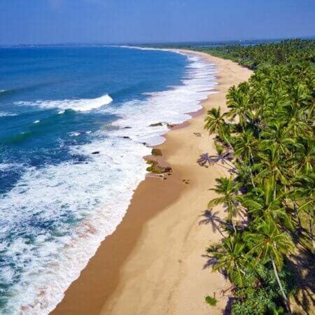 Kalutara Sri Lankan Guide