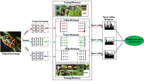 Figure 1 From An Efficient Pest Classification In Smart Agriculture Using Transfer Learning