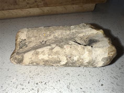 Fossilized Bone Fragments R Fossilid