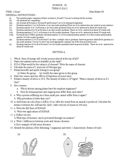 Ix Practice Paper Science Set 1 Pdf Nature Physical Sciences