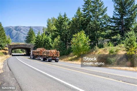 작은 아치형 다리 아래 도로에서 운전하는 두 개의 세미 트레일러에 통나무를 운반하는 큰 리그 세미 트럭 로깅 0명에 대한 스톡 사진 및 기타 이미지 Istock