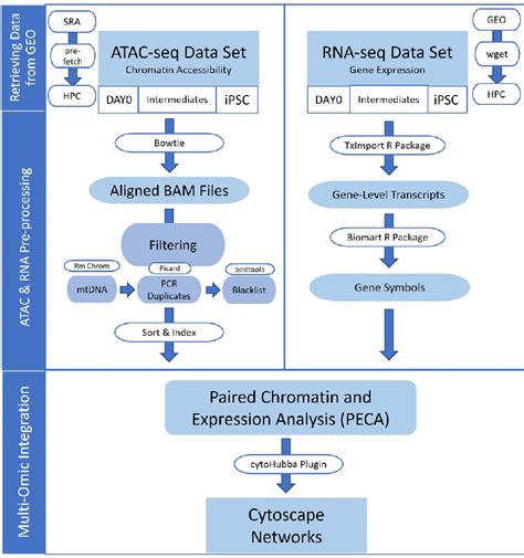 Figure 1 From Integrative Meta Analysis During Induced Pluripotent Stem