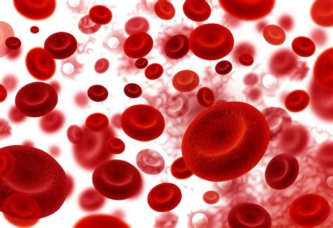 Highland And Moray Donors Needed Whether Its Blood Plasma Or