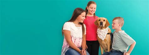 Developmental Ladder Explained