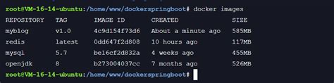在docker 上完成对springbootmysqlredis的前后端分离项目的部署（全流程，全截图）docker运行springbooot指定redis 数据库 Csdn博客