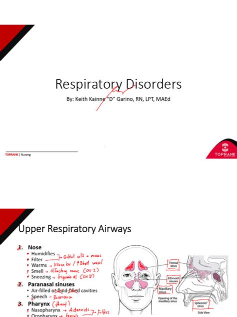 Respi Hema Pdf Respiratory Tract Clinical Medicine