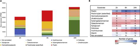Expression Of Cazy Encoding Genes In The Reference Strain Cbs 138852 Download Scientific