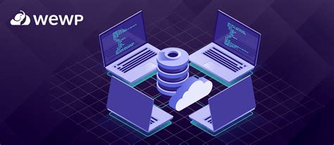 is shared web hosting the best option for your site