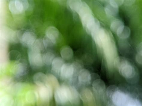 Premium Photo | Blur bokeh nature backgroundCircle bokeh