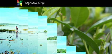 jquery image and content slider by nelliwinne codester
