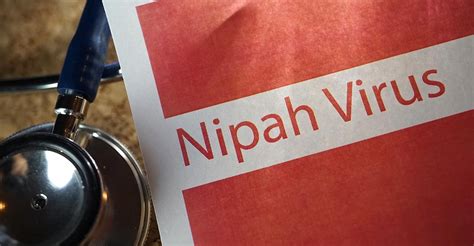 Son Of Deceased Nipah Victim Tests Positive In Palakkad Nipah Virus